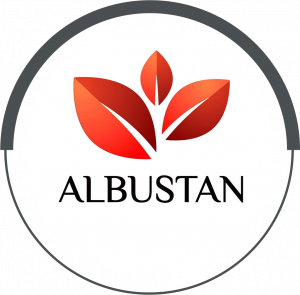 Feasibility studies & strategic analysis - Strategy Mission